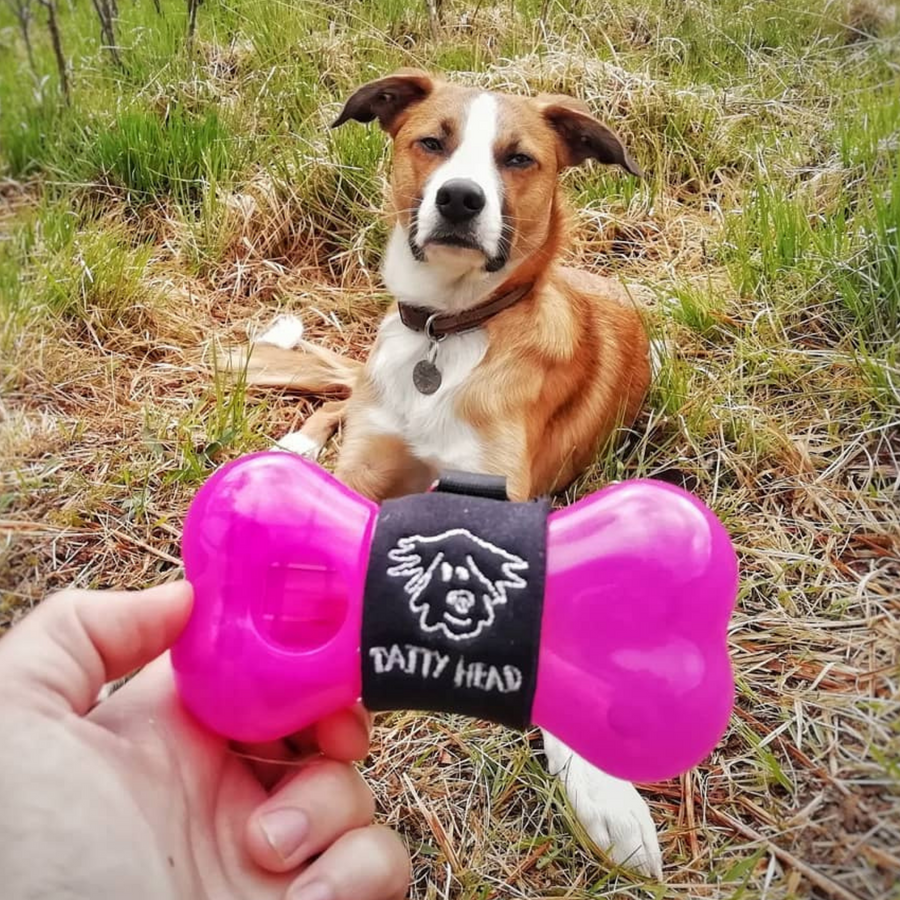 Pink 2-in-1 Dog Treat Dispenser and Recall Training Aid by Tatty Head